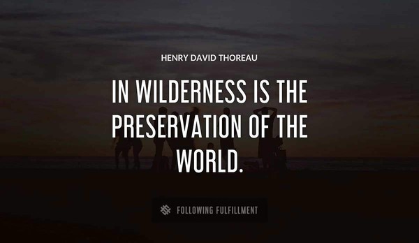 The Best Henry David Thoreau Quotes