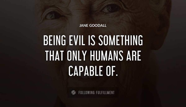 The Best Jane Goodall Quotes
