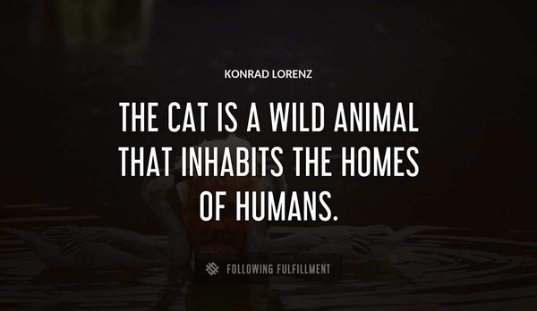 The Best Konrad Lorenz Quotes