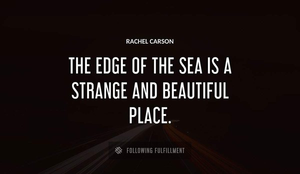 The Best Rachel Carson Quotes